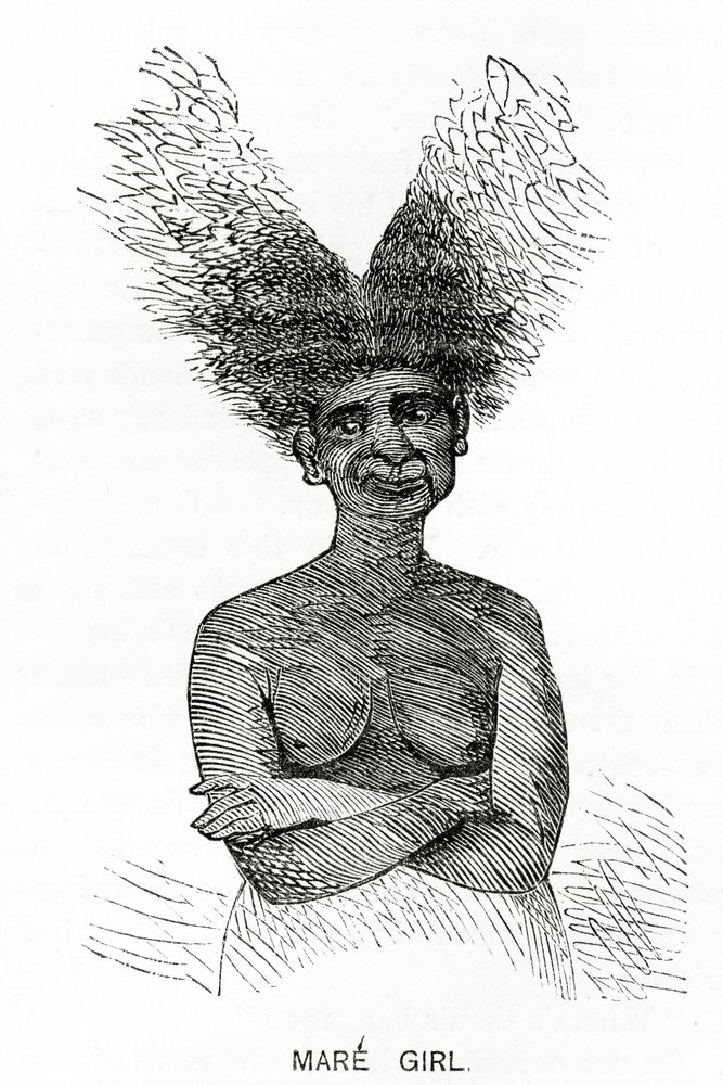 Niña Mare, ilustración de Appletons Journal, 4 de mayo de 1872