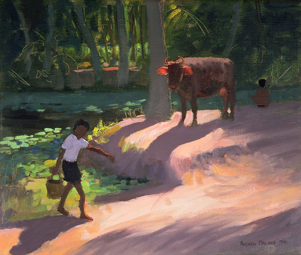 Aguas interiores de Kerala, India, 1996 | Andrew Macara