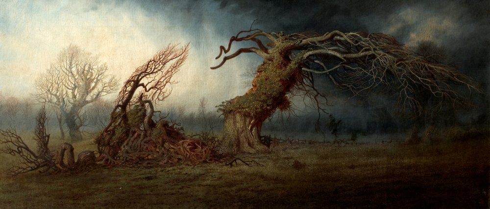 El árbol arrasado | Andrew MacCallum | Impresión de arte