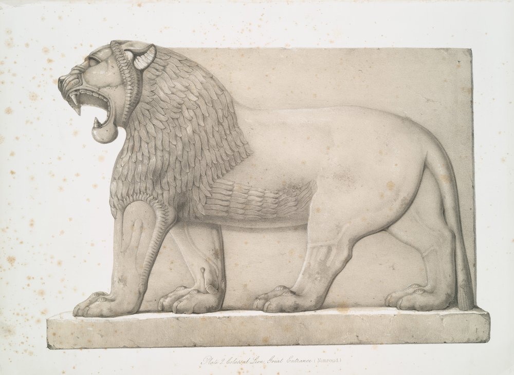 León colosal de la Gran Entrada en Nimrud [Calah], 1853