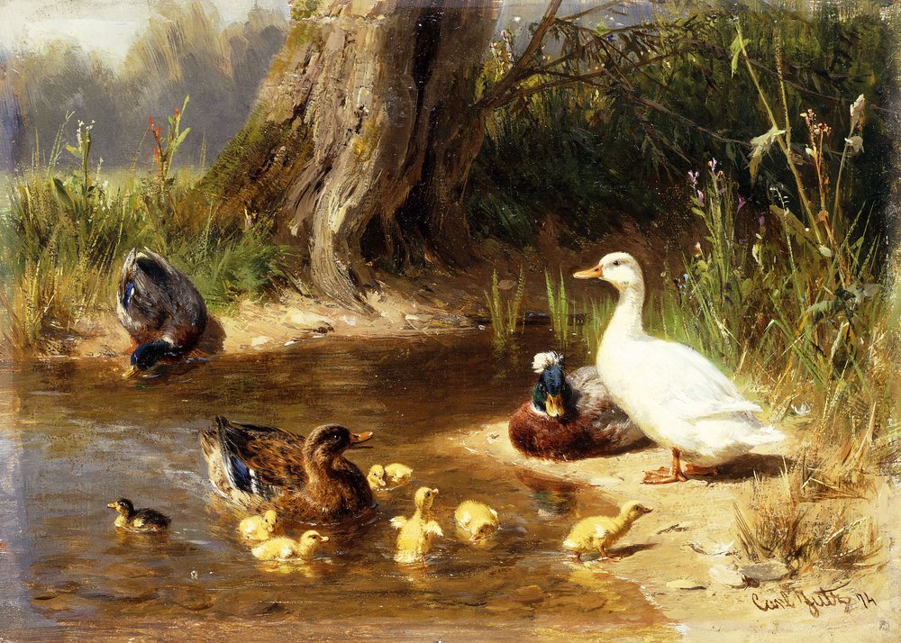 Patos en la orilla del agua | Carl Jutz | Impresión de arte