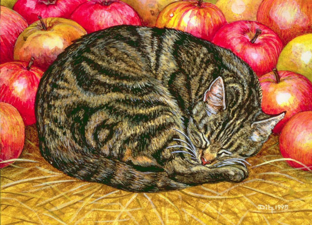 Manzana-Gato Zurdo | Ditz | Impresión de arte