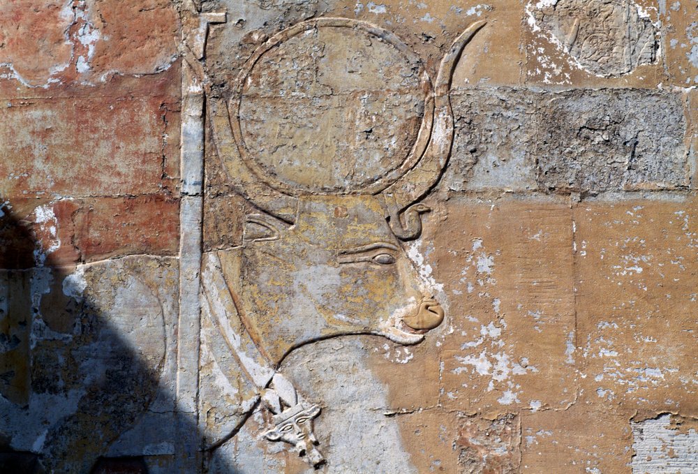 Relieve con Hathor como vaca sagrada, Templo mortuorio de Hatshepsut ...