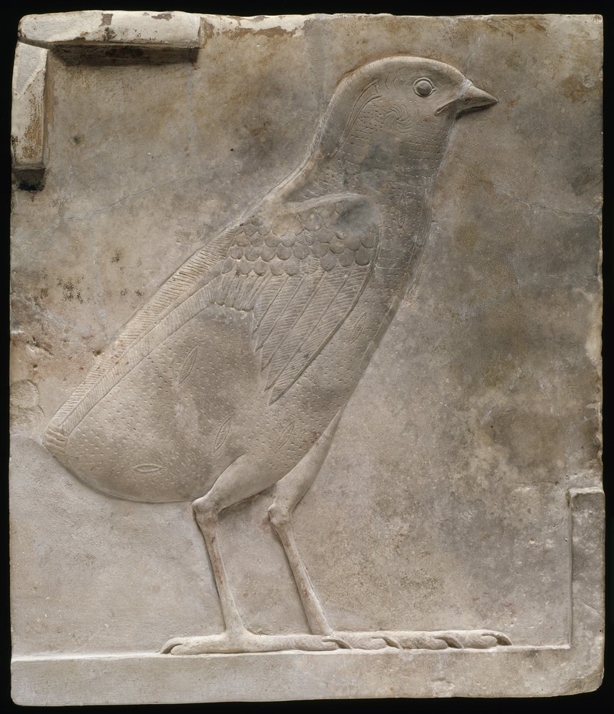Placa de relieve que representa un polluelo, c.330-305 a.C.