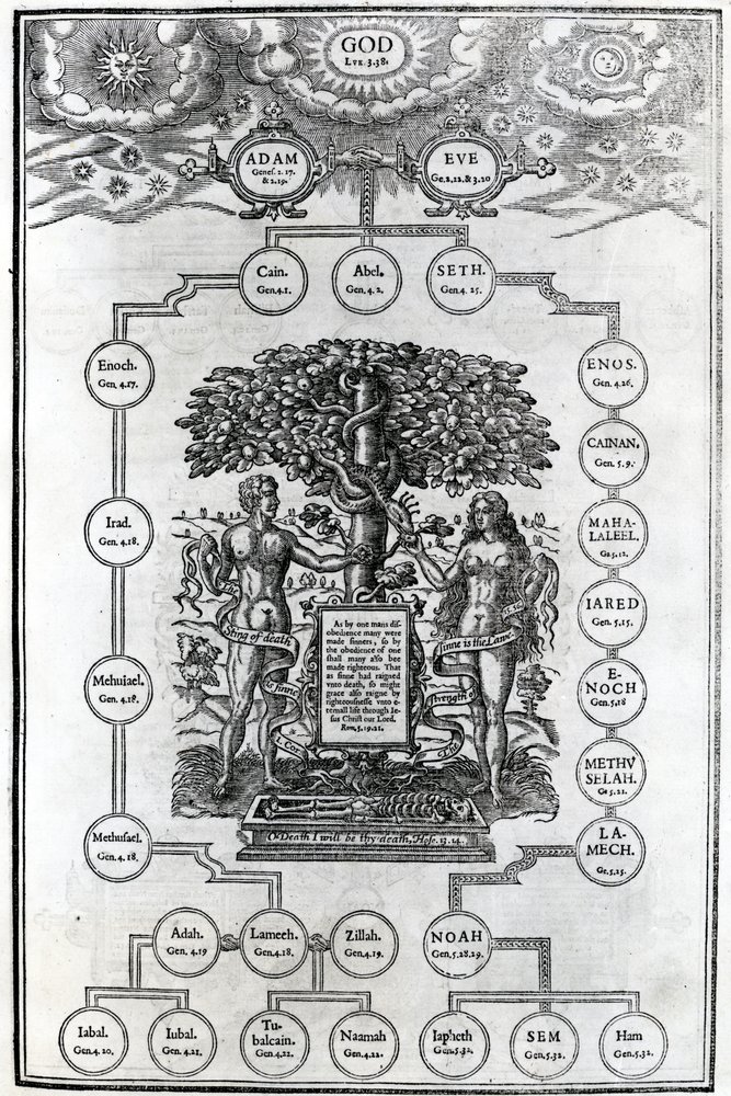 Árbol genealógico de Adán y Eva, 1556 | English School