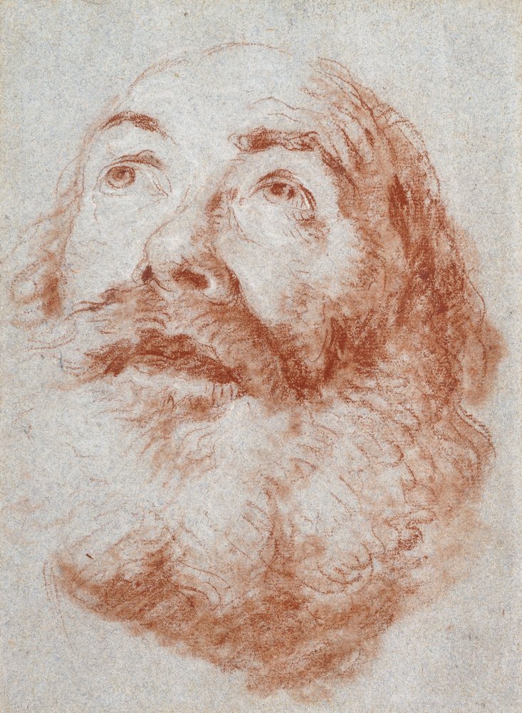 Cabeza de un anciano mirando hacia arriba