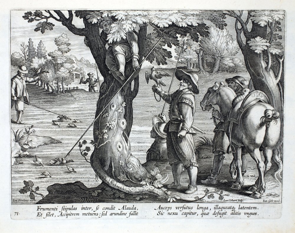 Cazadores de aves usando varas con anillos para atrapar aves ...