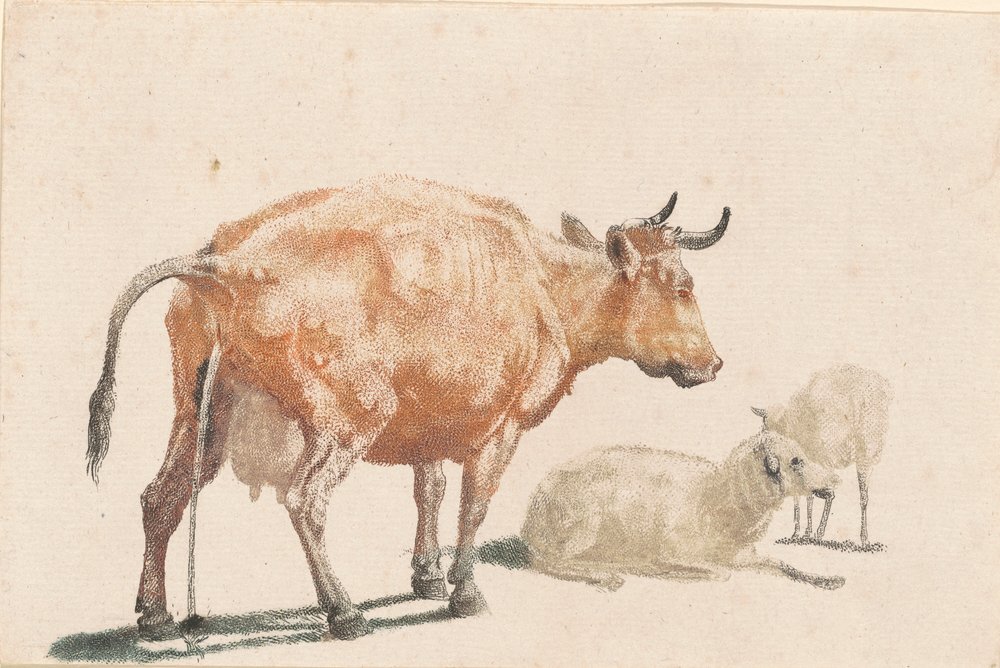 La vaca meando, 1690s | Johann Teyler | Impresión de arte