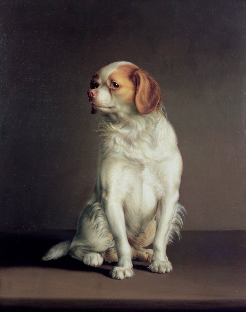 Retrato de un Spaniel King Charles | Louis Leopold Boilly