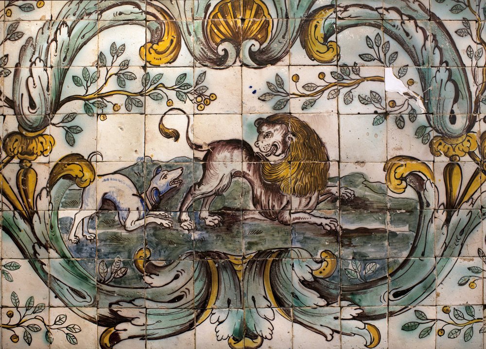 Perro amenazando a un león (detalle) | School Portuguese