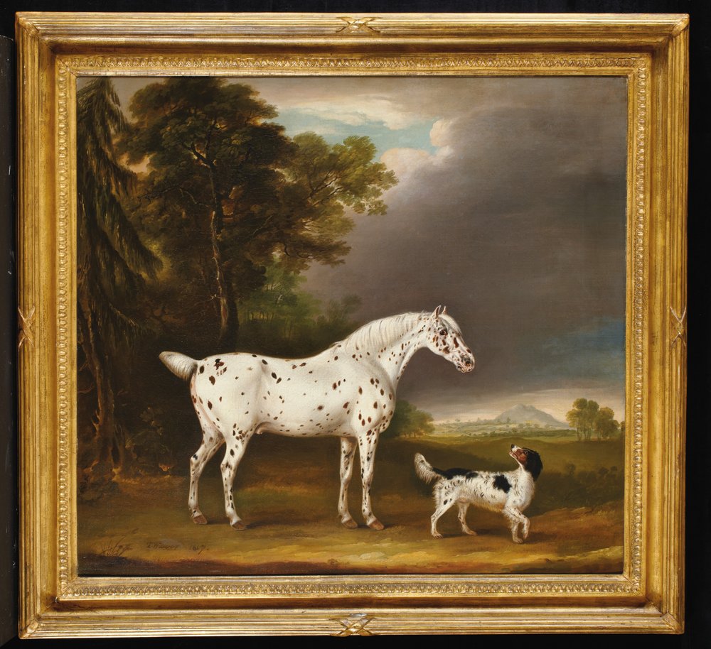 Caballo Appaloosa y spaniel, 1807 | Thomas Weaver