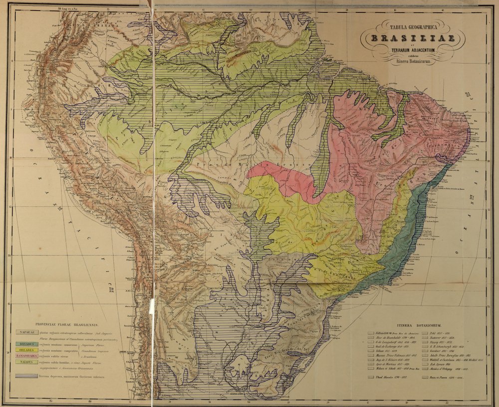 Mapa de las provincias florísticas de Brasil por Martius