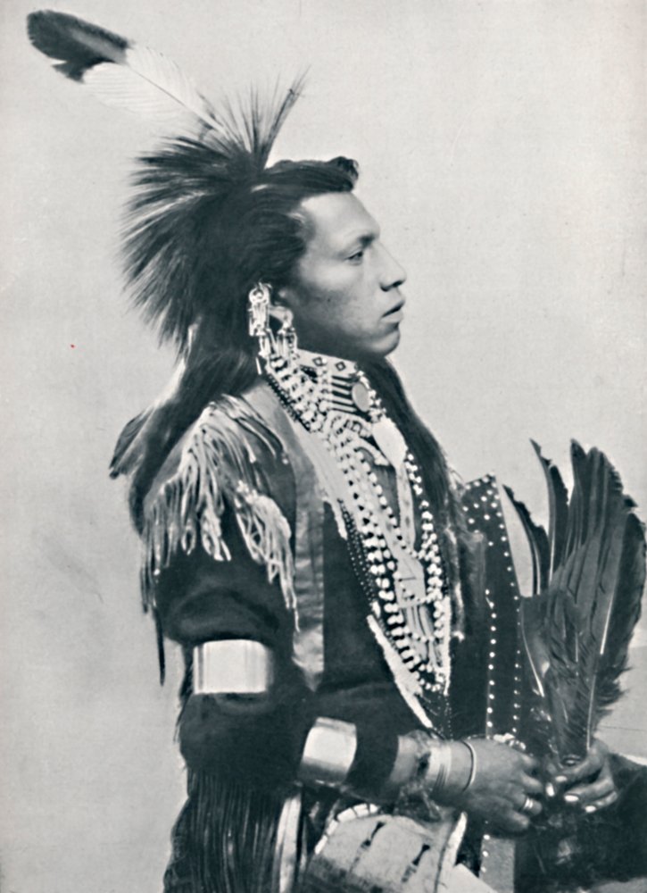 Perfil Del Jefe Indio Americano Jefe De Guerrero Apache Indio