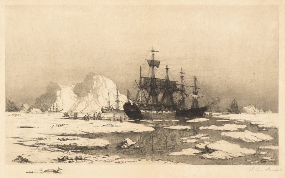 Entre los Témpanos de Hielo | William Bradford