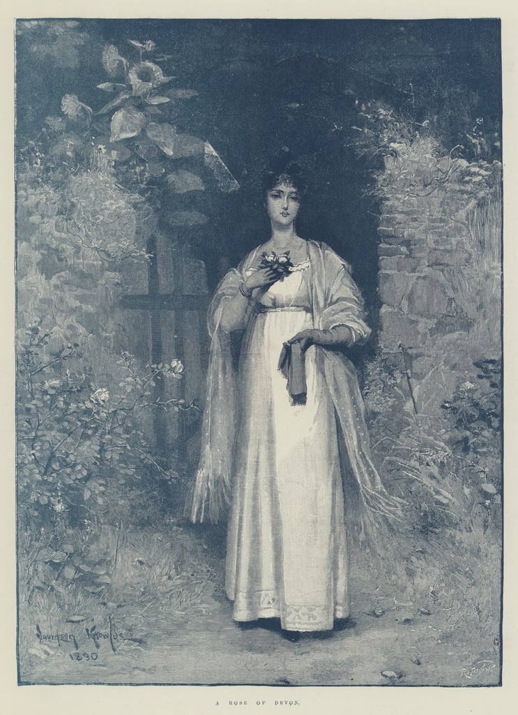 Una rosa de Devon | Davidson Knowles | Impresión de arte