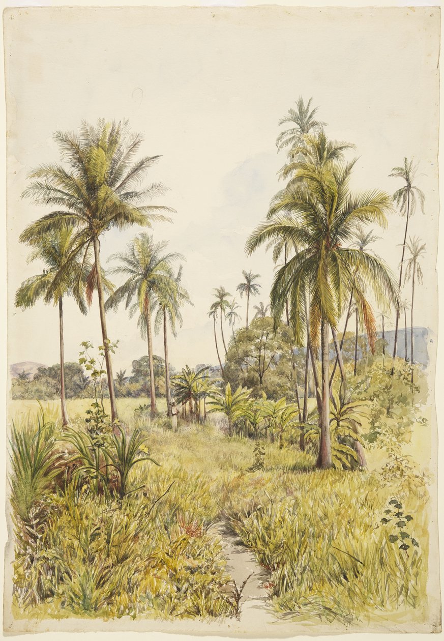 Palmeras, Colima | Adela Breton | Impresión de arte