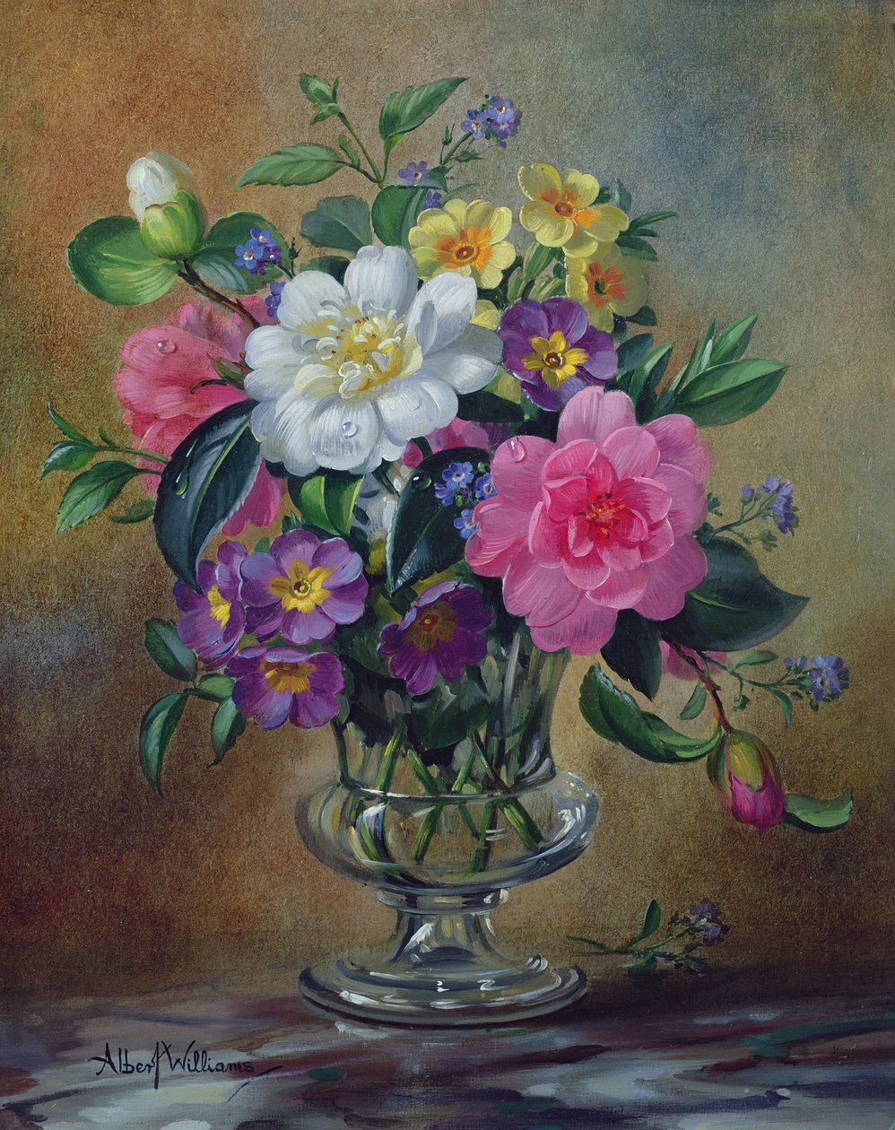 Imagen desconocida | Albert Williams | Impresión de arte