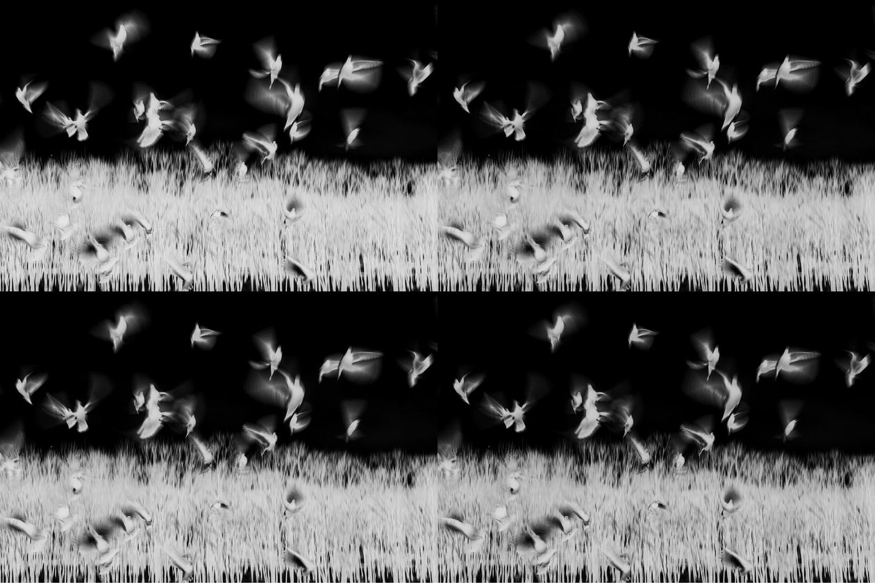 Niveles | Alex Caminker | Impresión de arte