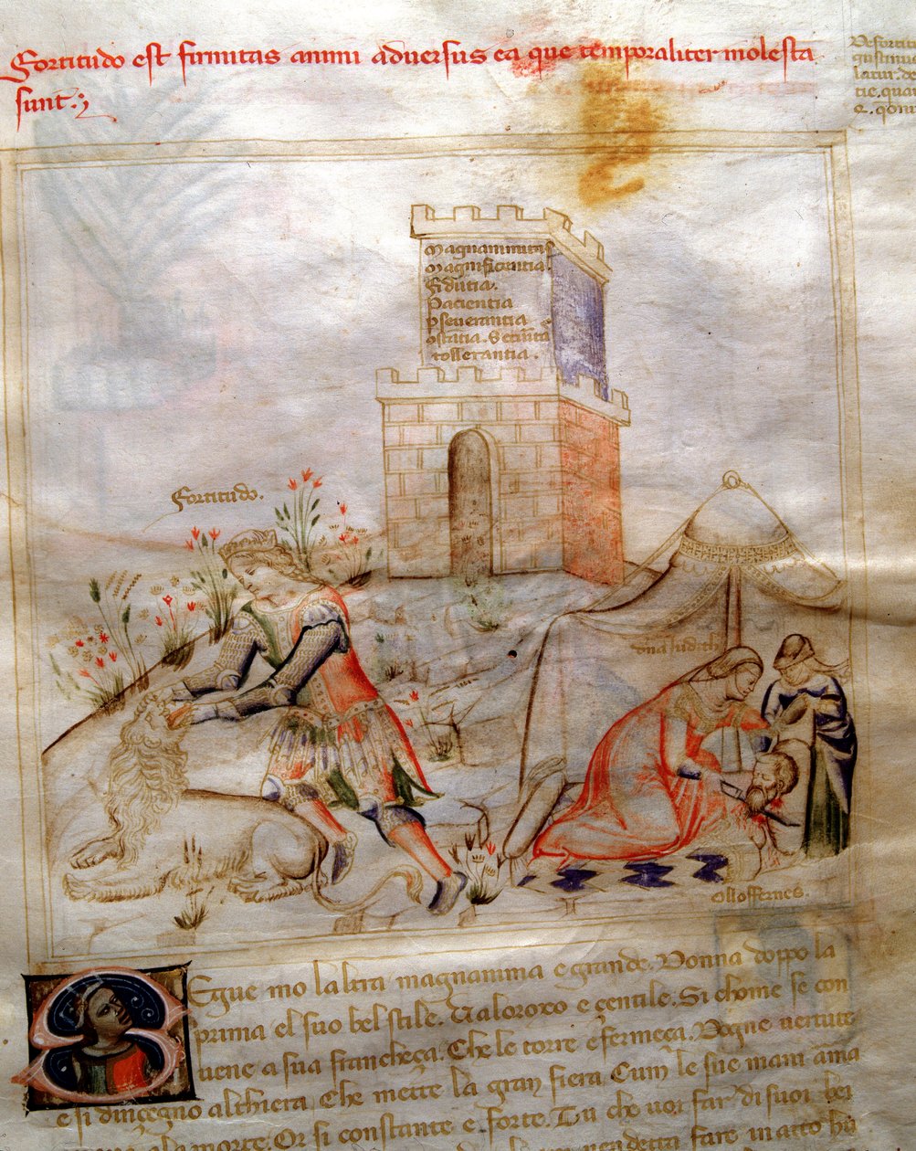 Alegoría del coraje con Sansón desgarrando al león y Judit decapitando ...