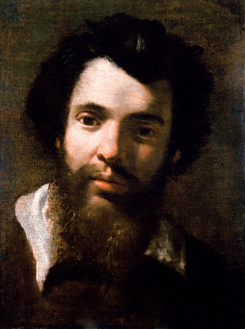 Retrato de Agostino Carracci, hermano del artista