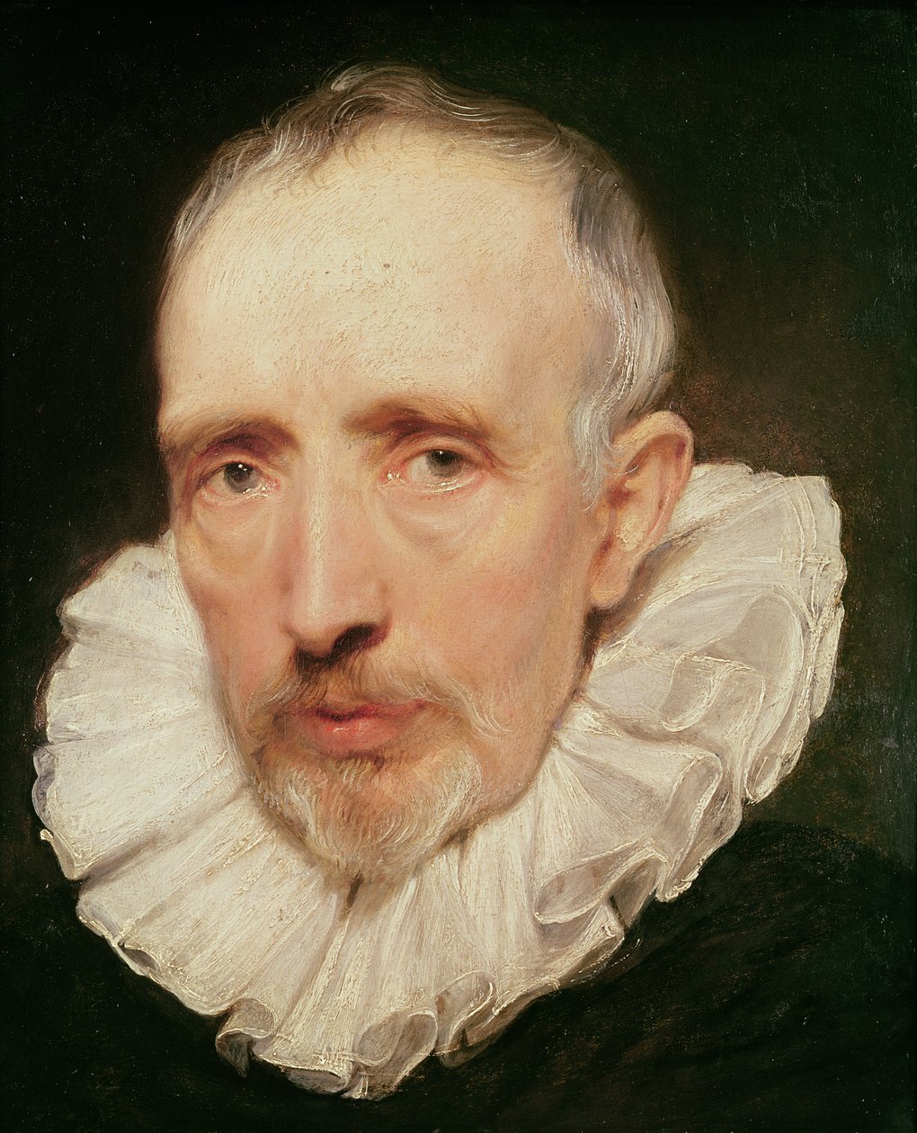 Retrato de Cornelis van der Geest, c.1620 | Anthony van Dyck