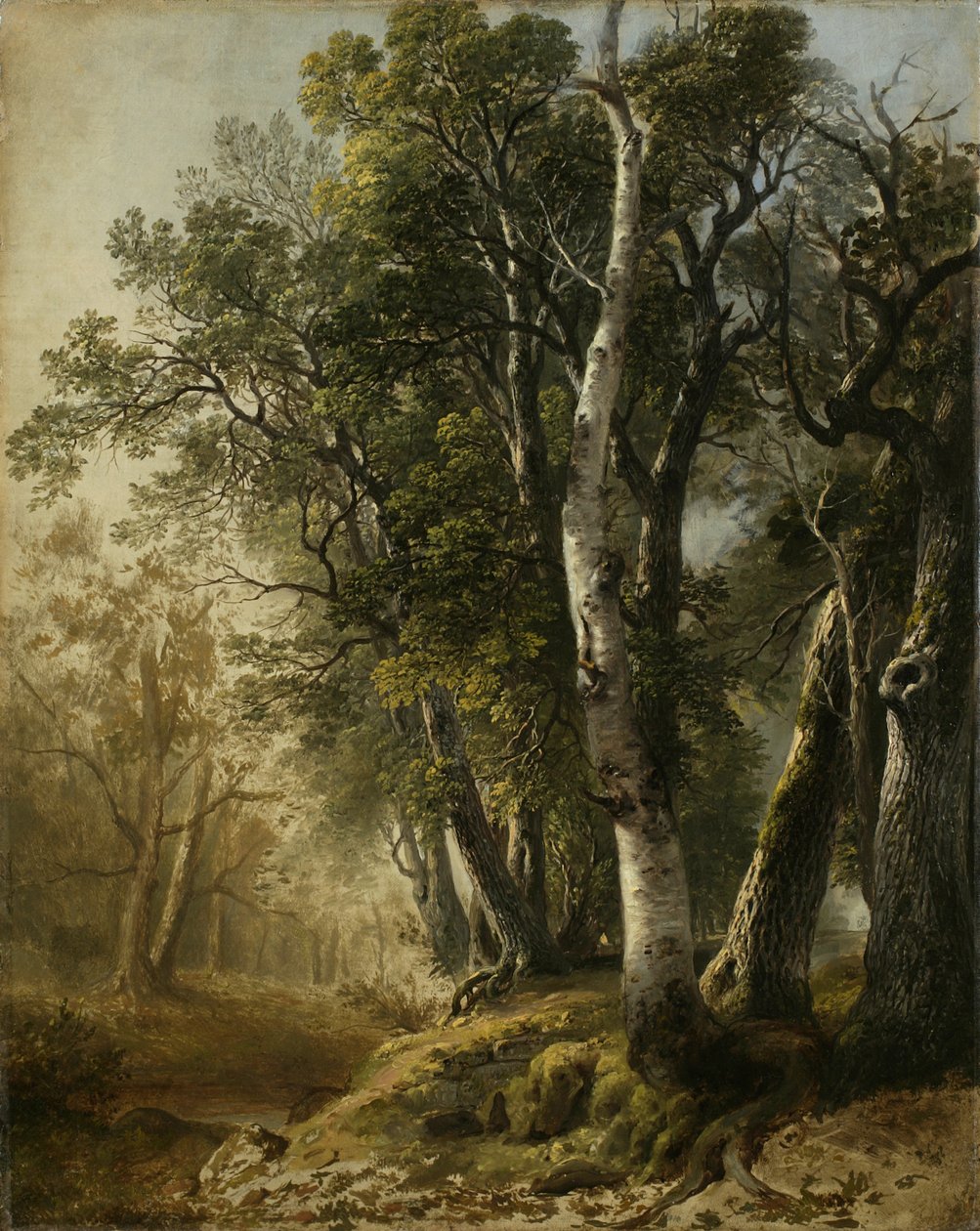 Árboles junto al Arroyo, Kingston, N.Y., 1846