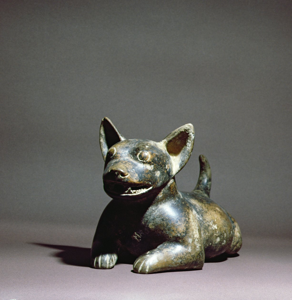 Perro medio acostado de Colima, 300 a.C. - 500 d.C.
