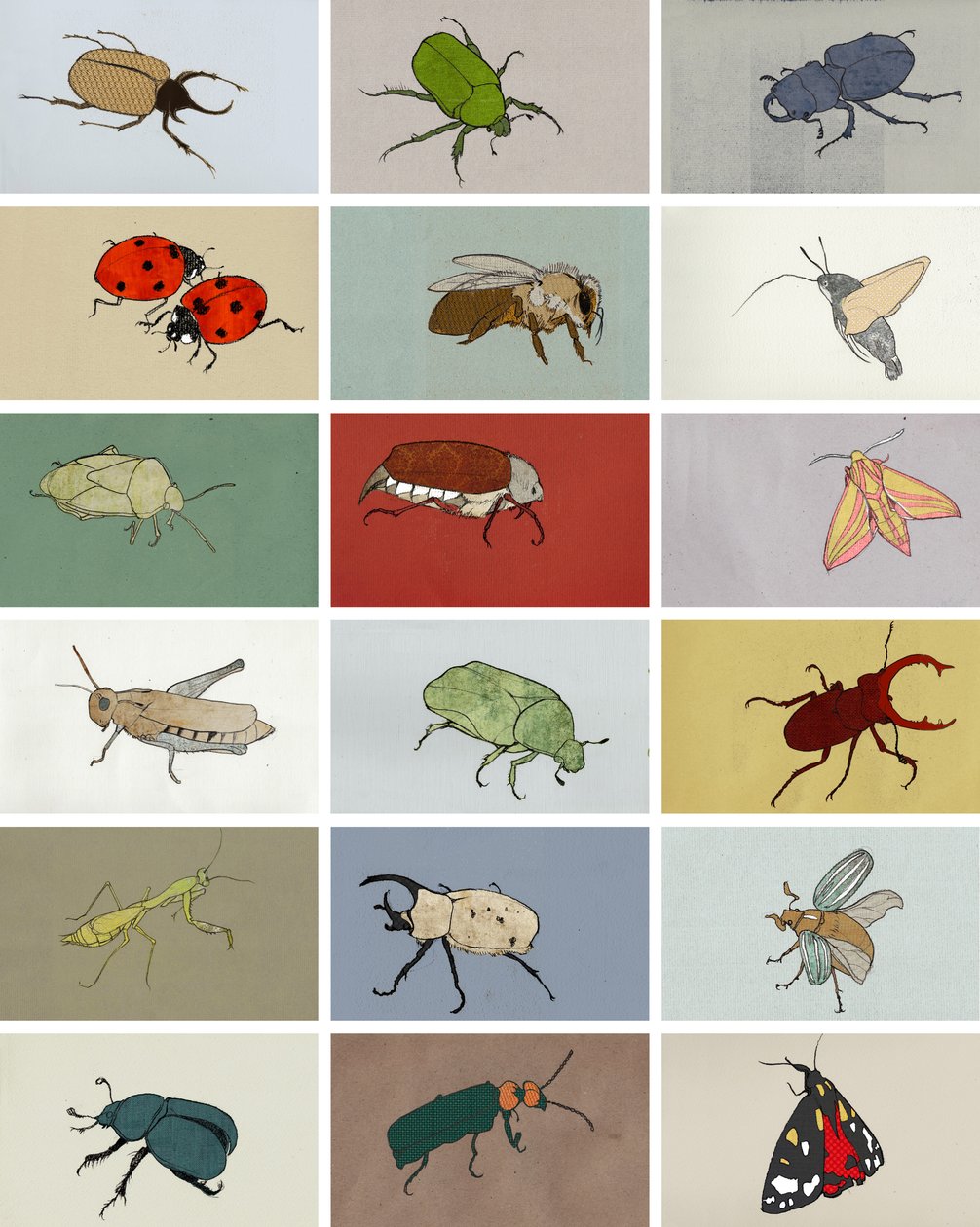 Insectos | Eliza Southwood | Impresión de arte