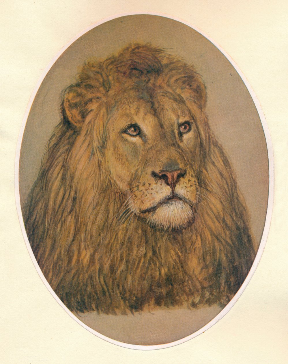 Cabeza de león, c. 1896 | Frank Paton | Impresión de arte