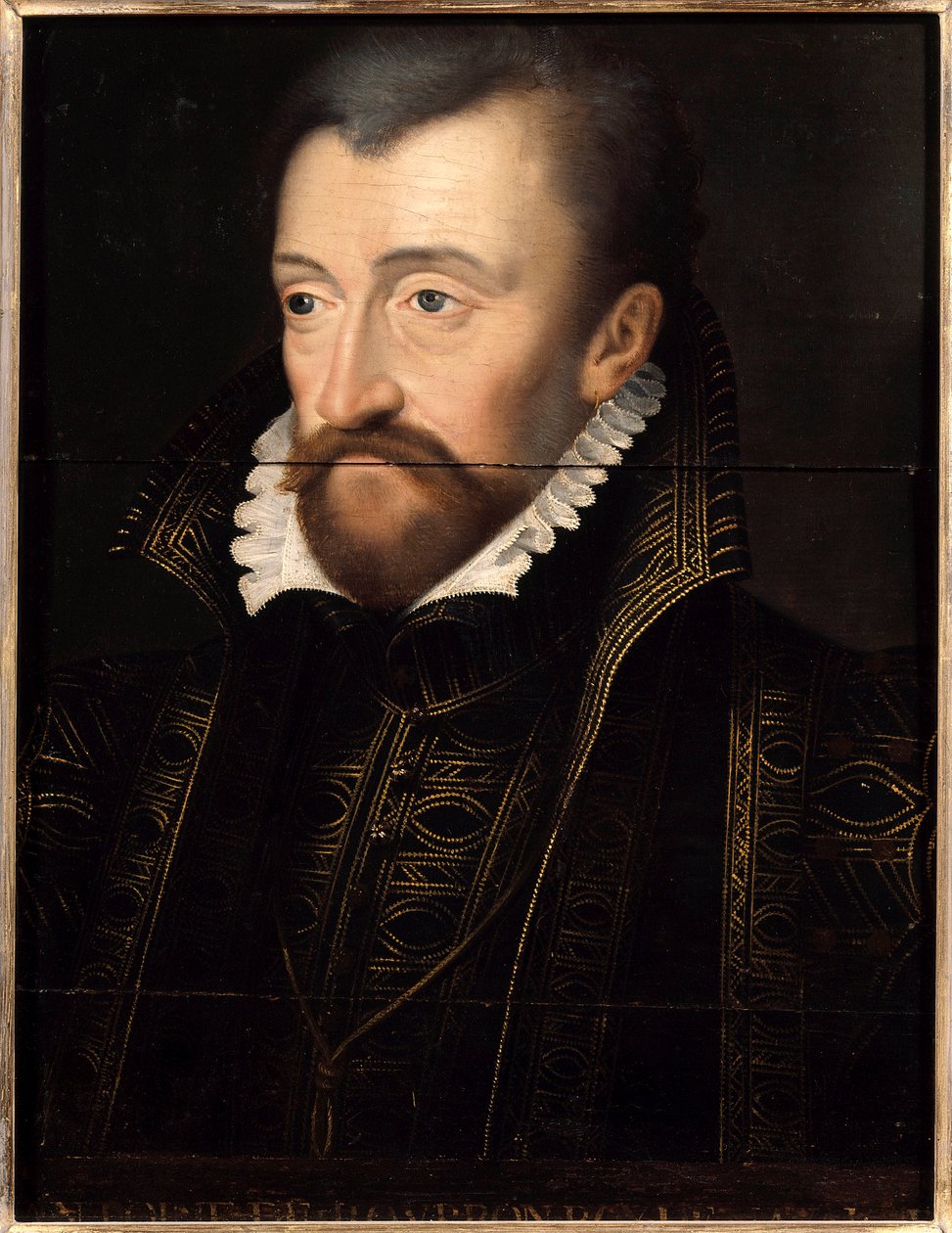 Marco De Retrato De Rey