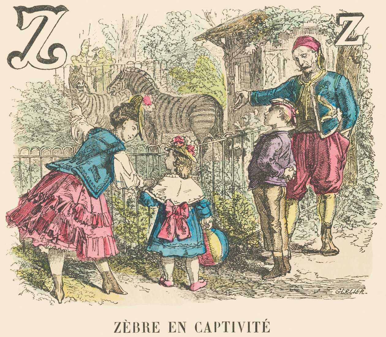 Z: Cebra en cautiverio | French School | Impresión de arte