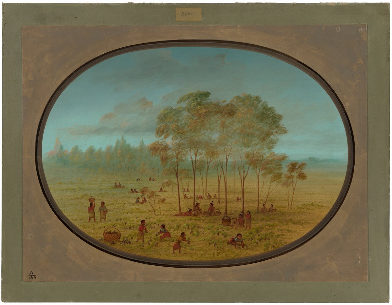 Indios kiowa recolectando uvas silvestres | George Catlin