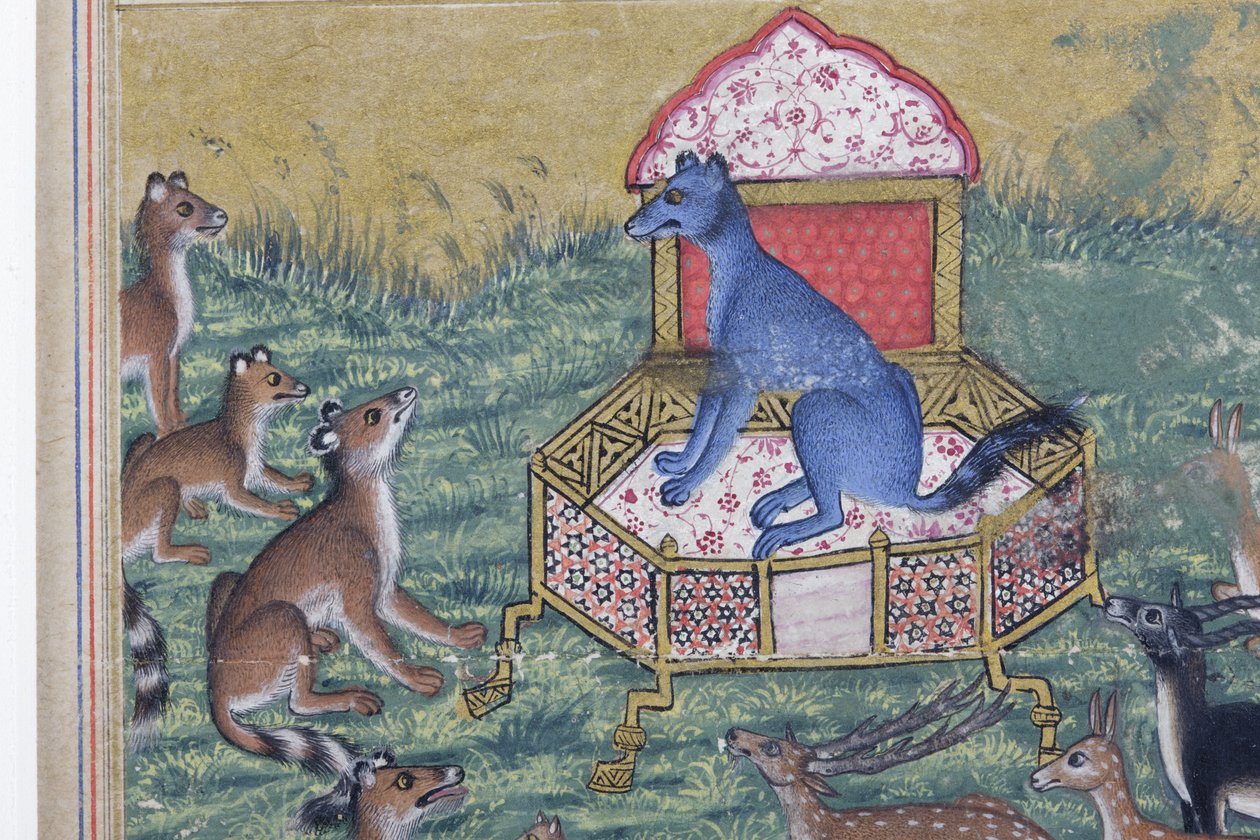 (detalle) El chacal que se proclamó rey | Indian School