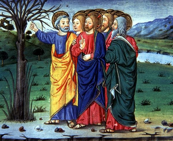 Fol.63r Pedro señala a Cristo un árbol seco (vitela)