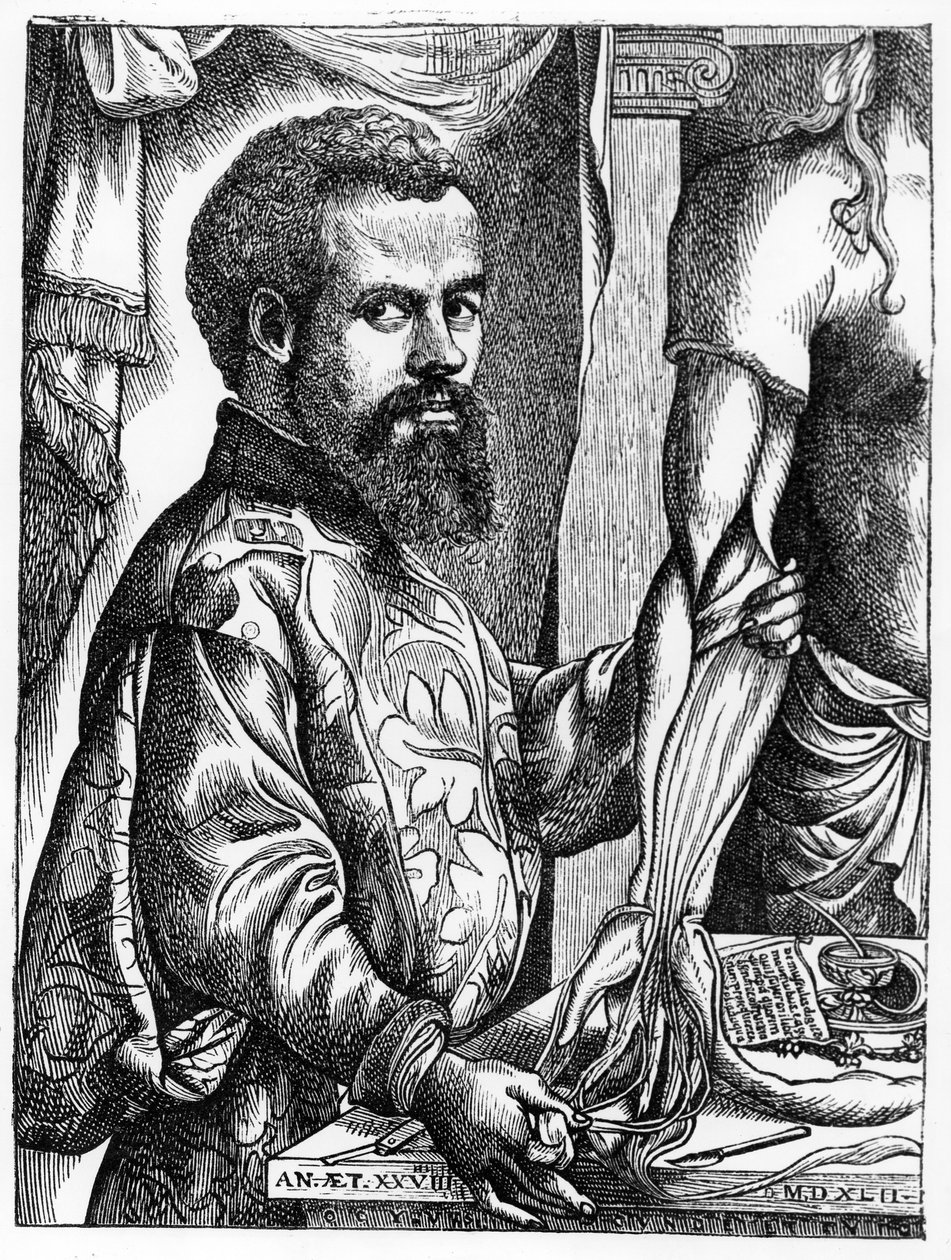 Retrato de Andreas Vesalius (1514-64) de su libro 'De Humani Corporis ...