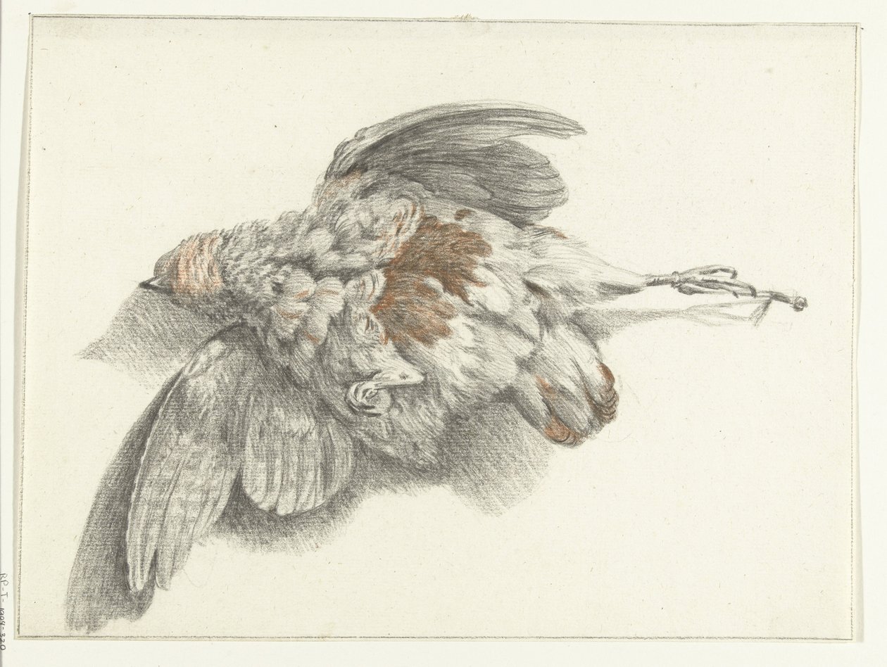 Aves de corral, colgadas en la pared. | Jean Bernard