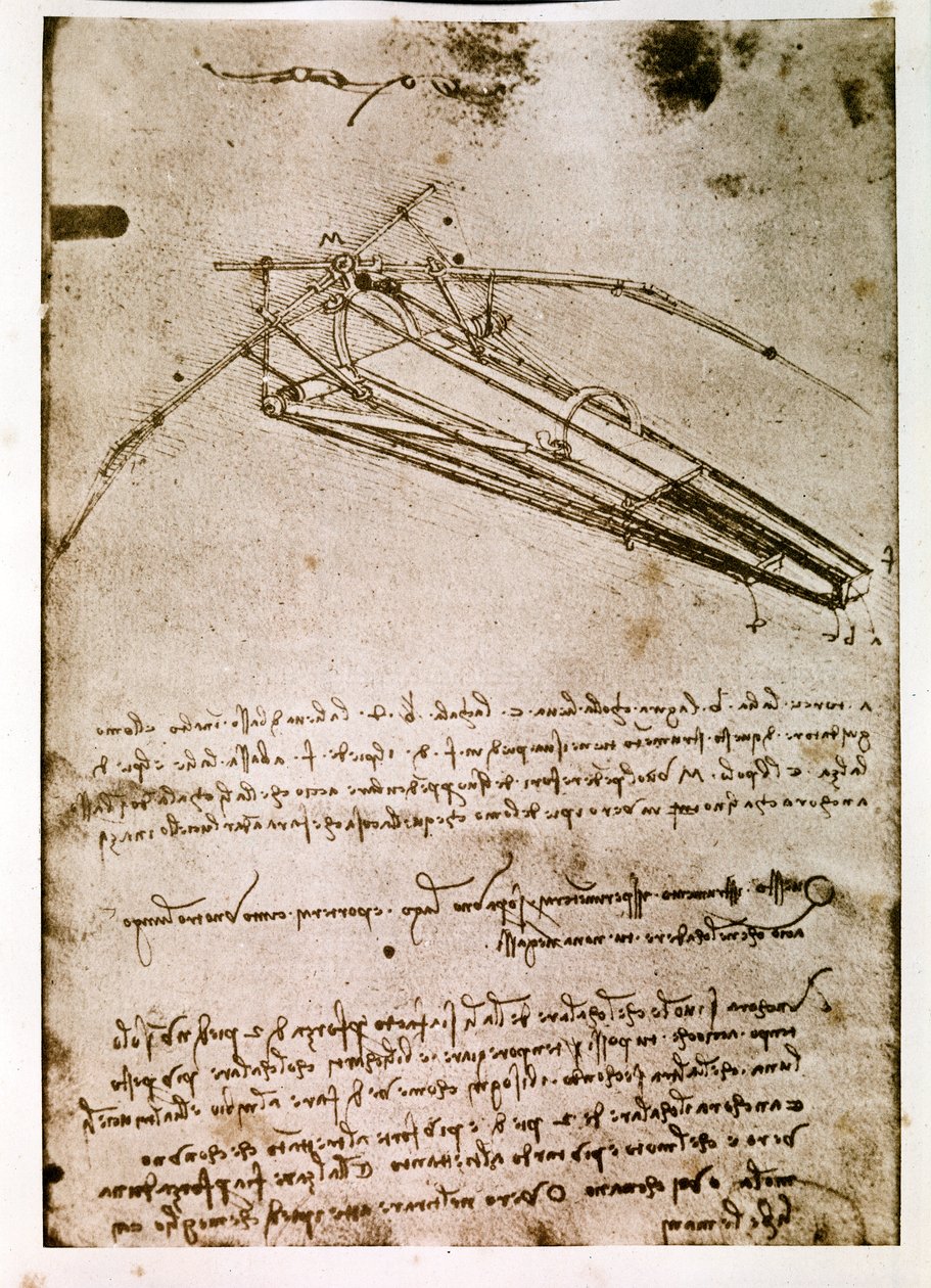 | Leonardo da Vinci | Impresión de arte