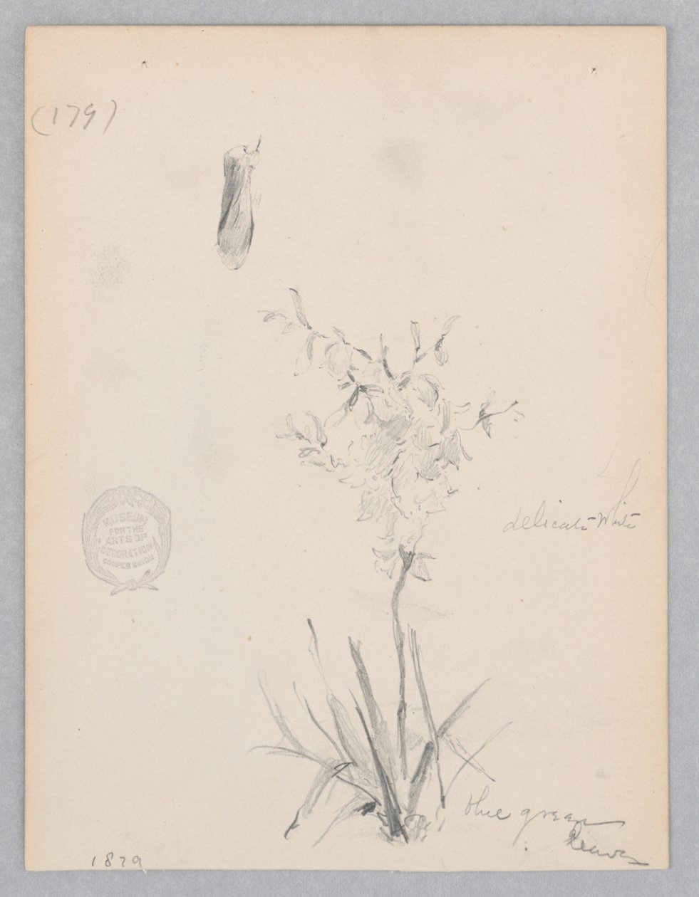 Planta floreciente | Robert Frederick Blum