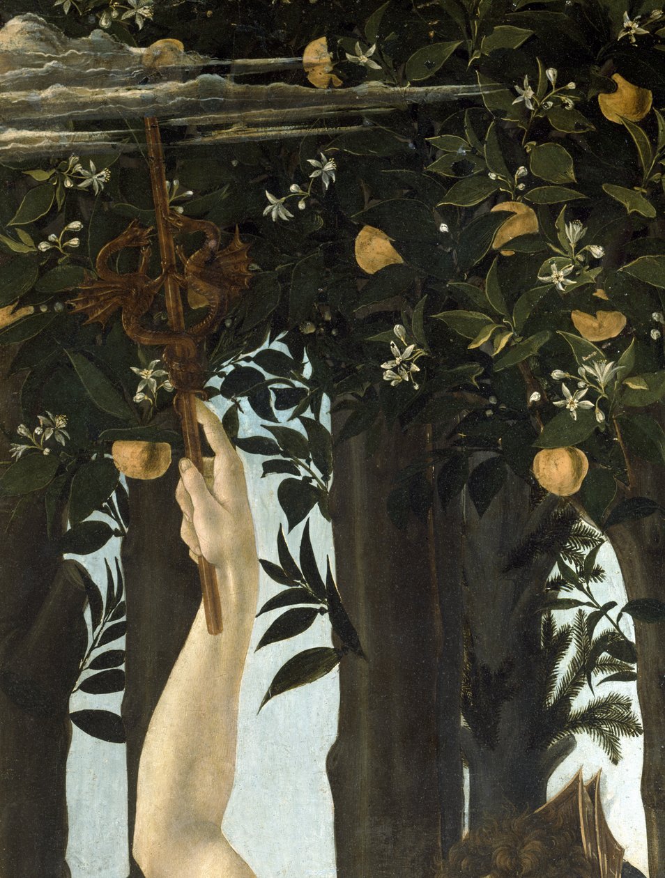 Primavera (detalle) | Sandro Botticelli