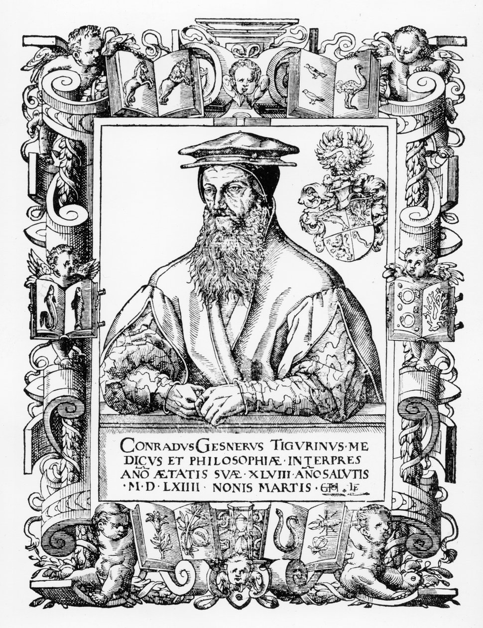 Conrad Gesner | Swiss School | Impresión de arte