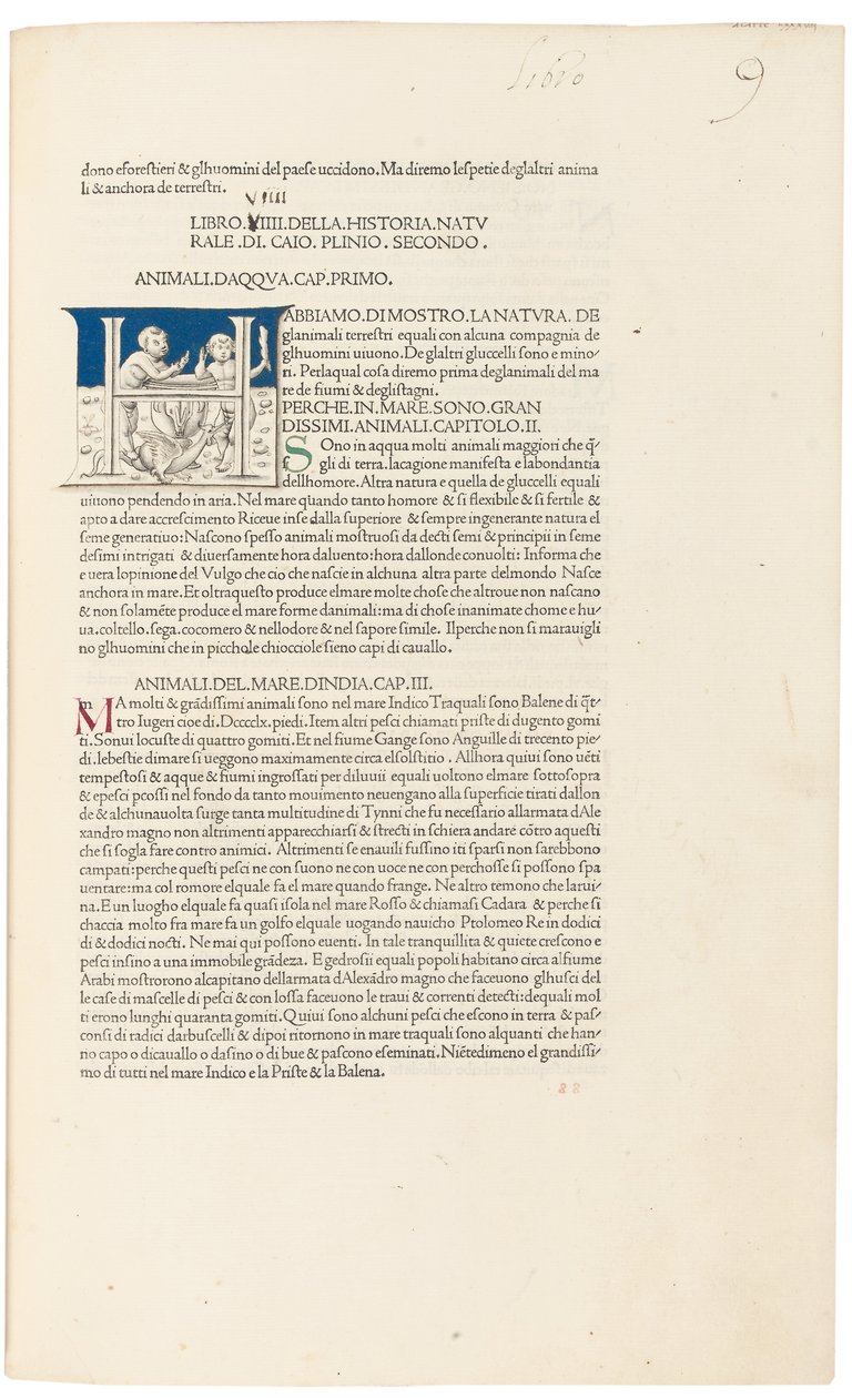 Historia Naturalis | Venetian School | Impresión de arte