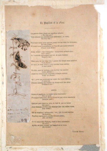 Le Papillon et la Fleur, poema con una ilustración de mariposas de Les ...