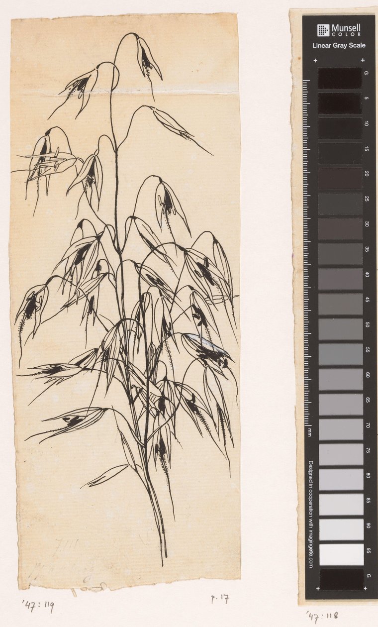 Haver | Willem Wenckebach | Impresión de arte