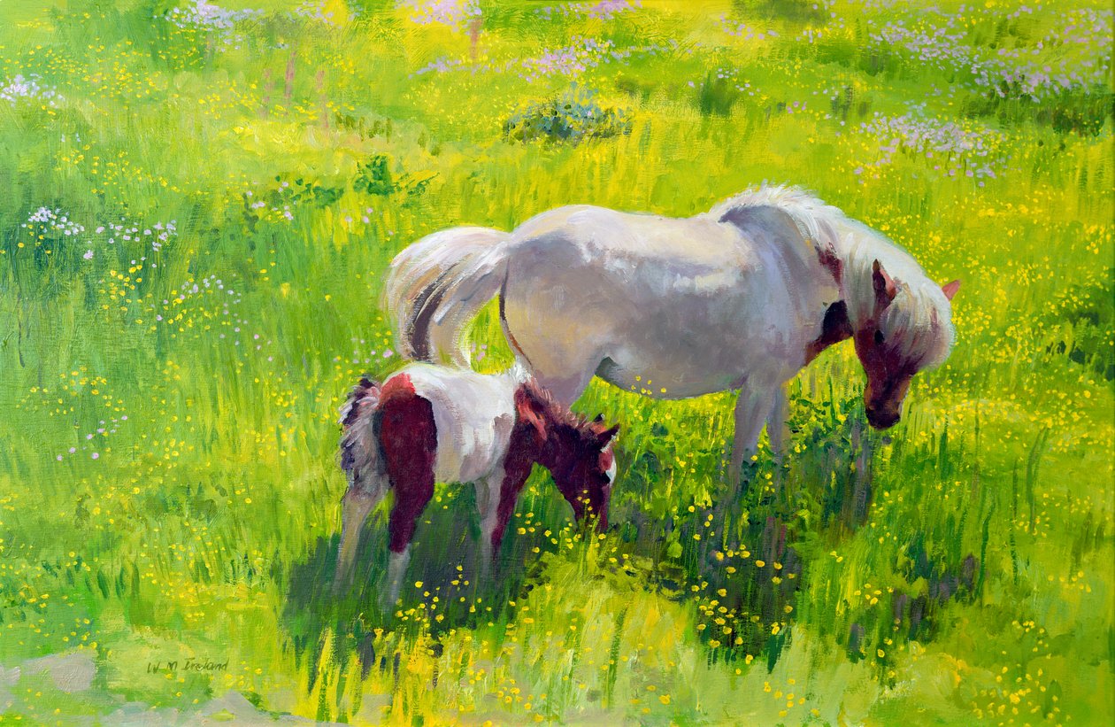 Caballo pío y potro | William Ireland | Impresión de arte