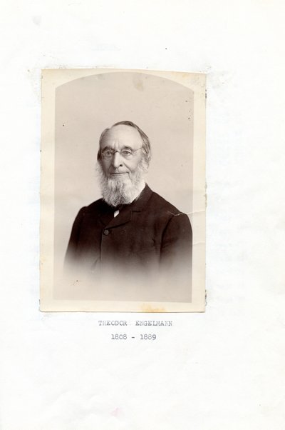 Impresiones artistas de Theodor Engelmann