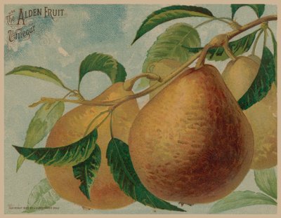 Peras | English School | Impresión de arte