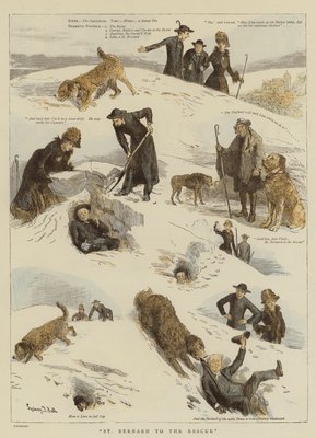 San Bernardo al Rescate | Sydney Prior Hall