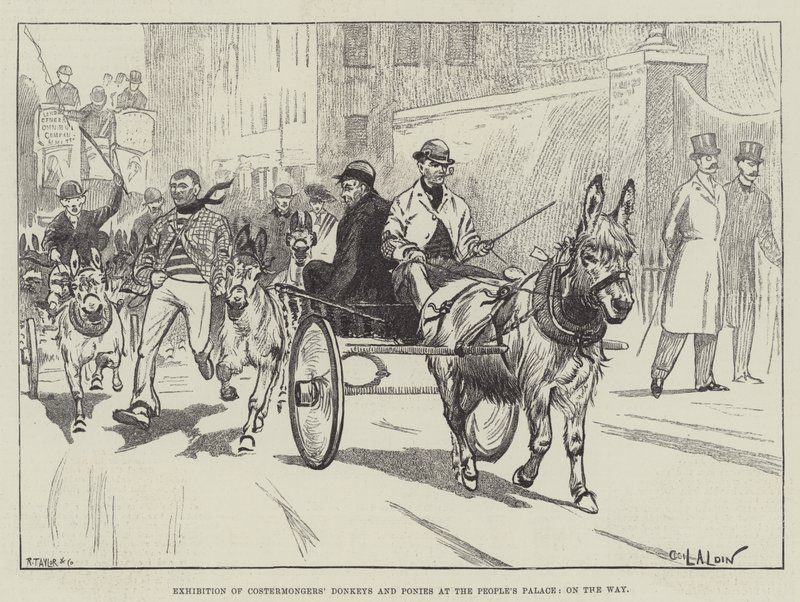 Exhibición de burros y ponis de costermongers en el People's Palace