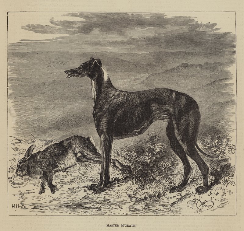 Master M'Grath | Harrison William Weir | Impresión de arte