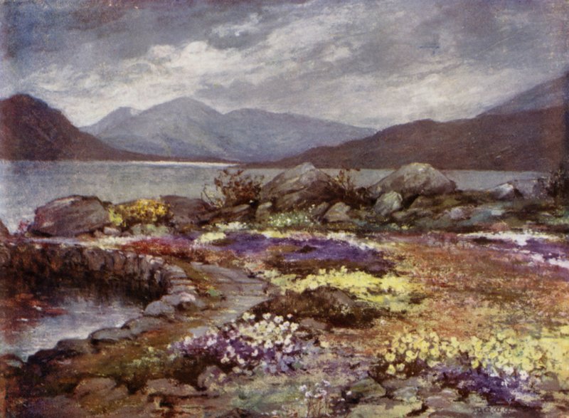 Jardines Escoceses: Corrour | Mary Georgina Wade Wilson